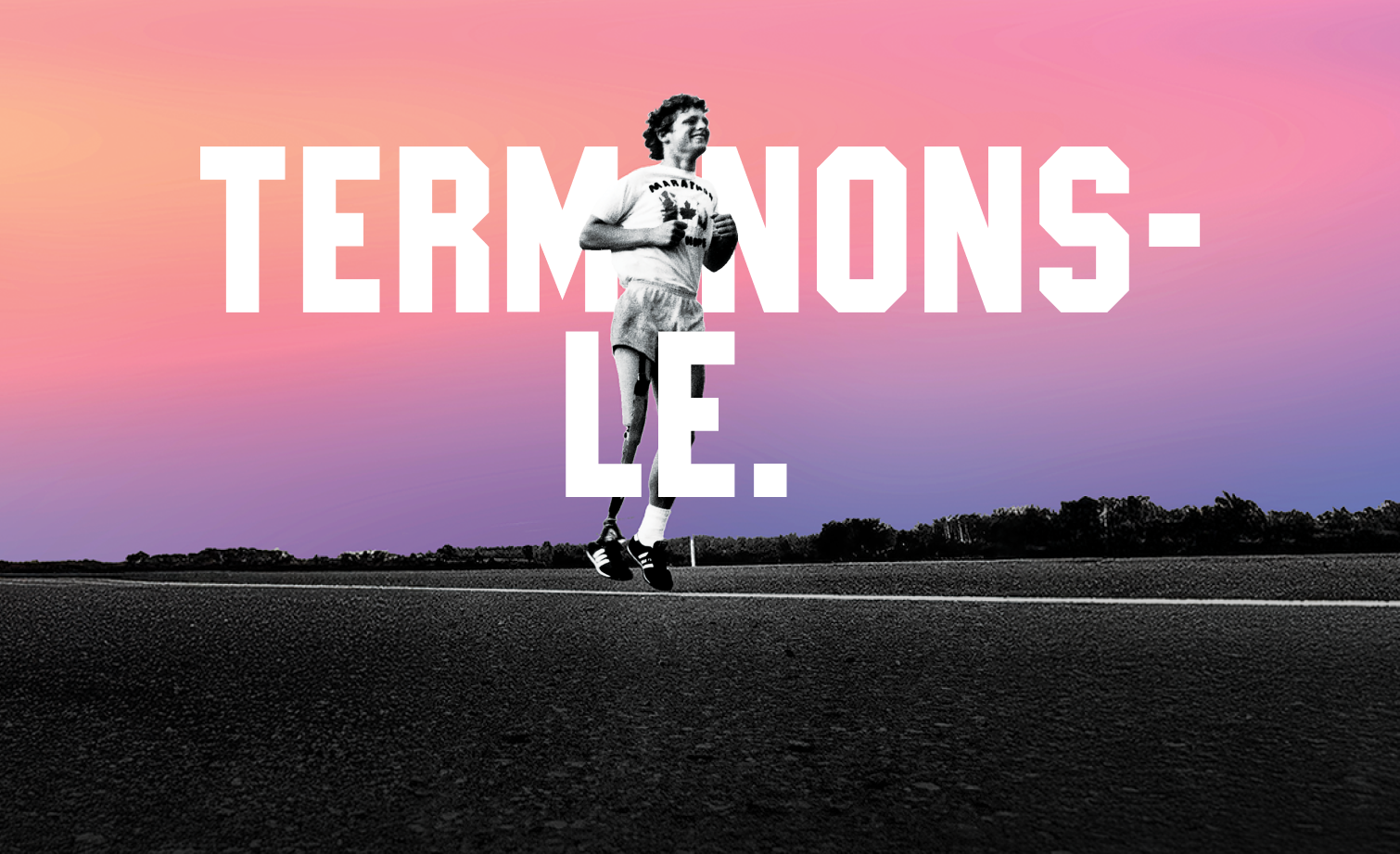 Joignez-vous à nous - La Course Terry Fox